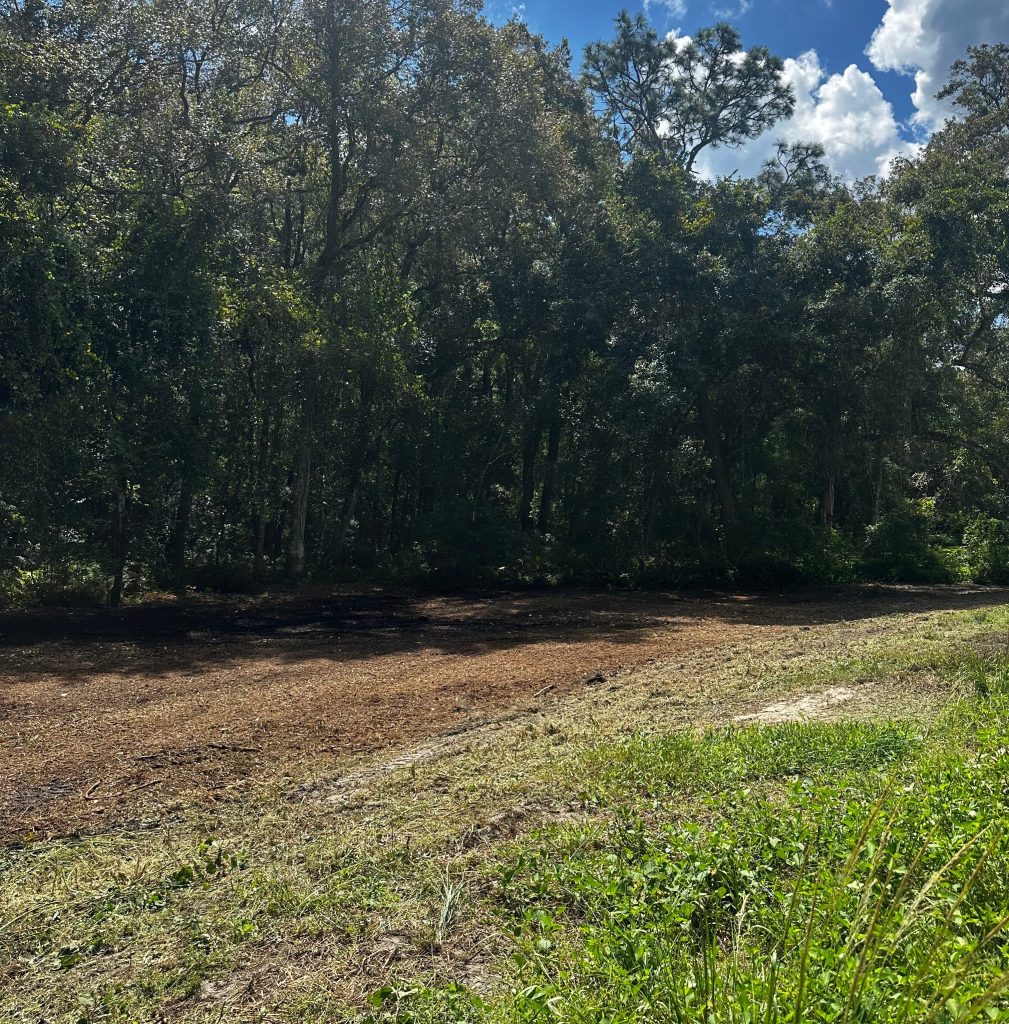 Land Clearing Services in Hillsborough FL | JNL Land Management